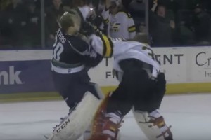 ECHL Line Brawl Featuring a Goalie Fight – Hockey World Blog